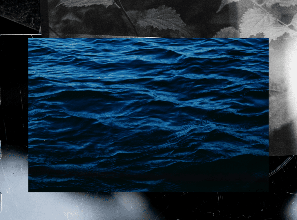 Emma Zuiderveen - Een zee van tweekleppigen en De kieuwbogen kleuren ...